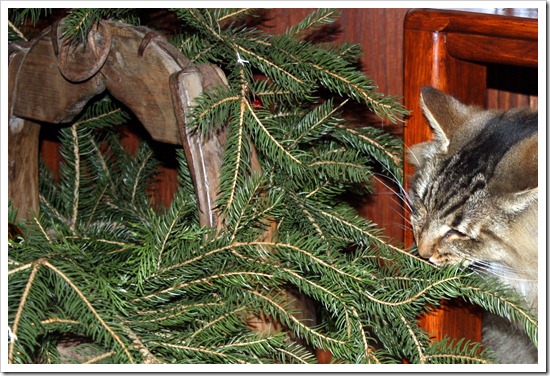 Жизнь французской домохозяйки: Crèche vivante